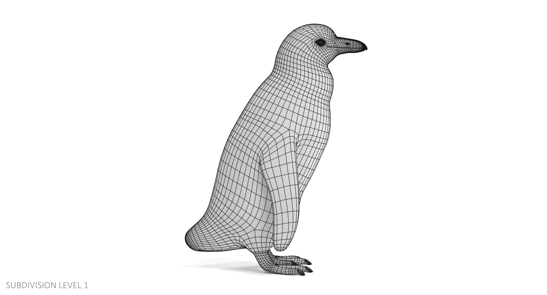 Humboldt Penguin Model - TurboSquid 1217478