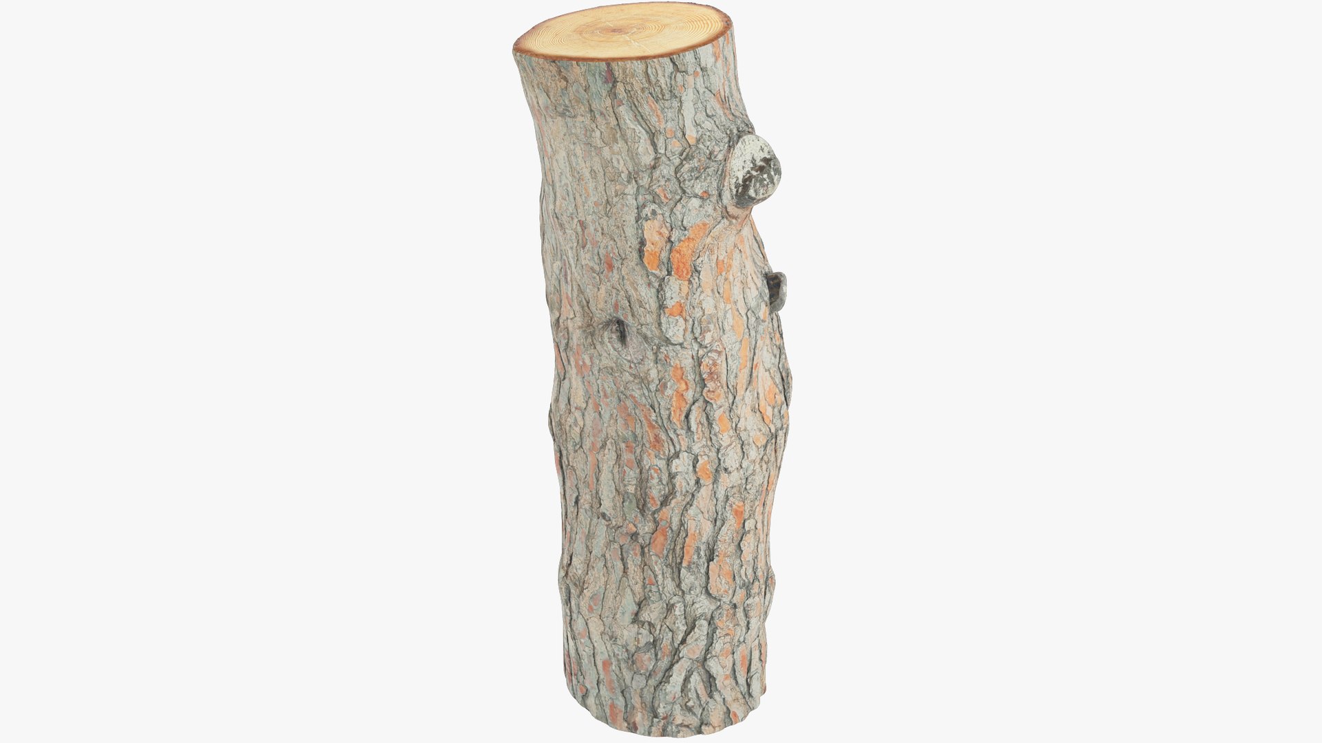 3D Pine Log V1 - TurboSquid 2106402