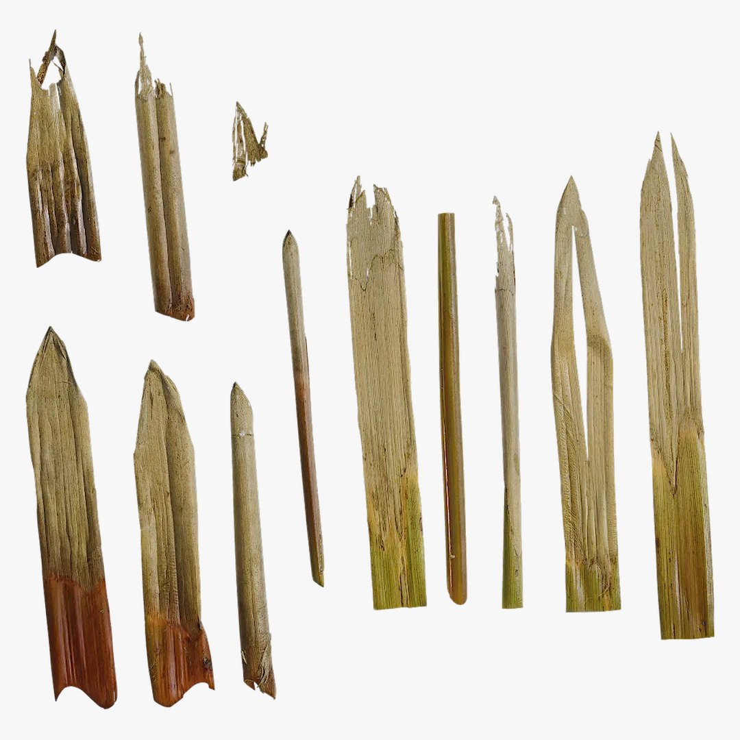 Anydrafts Phyllostachys Heteroclada Leaf Sheath 02 Textures 3D Model ...