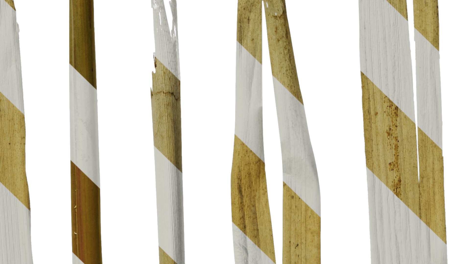 Anydrafts Phyllostachys Heteroclada Leaf Sheath 02 Textures 3D Model ...