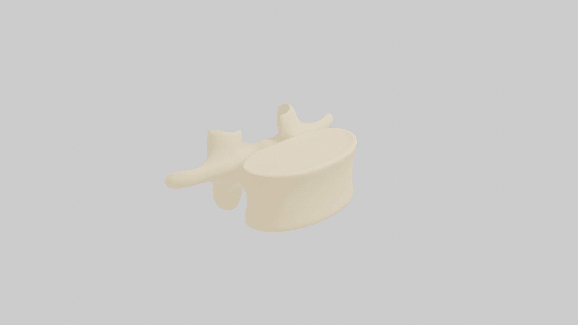 3D Typical Lumbar Vertebra L1-L4 - TurboSquid 2013968