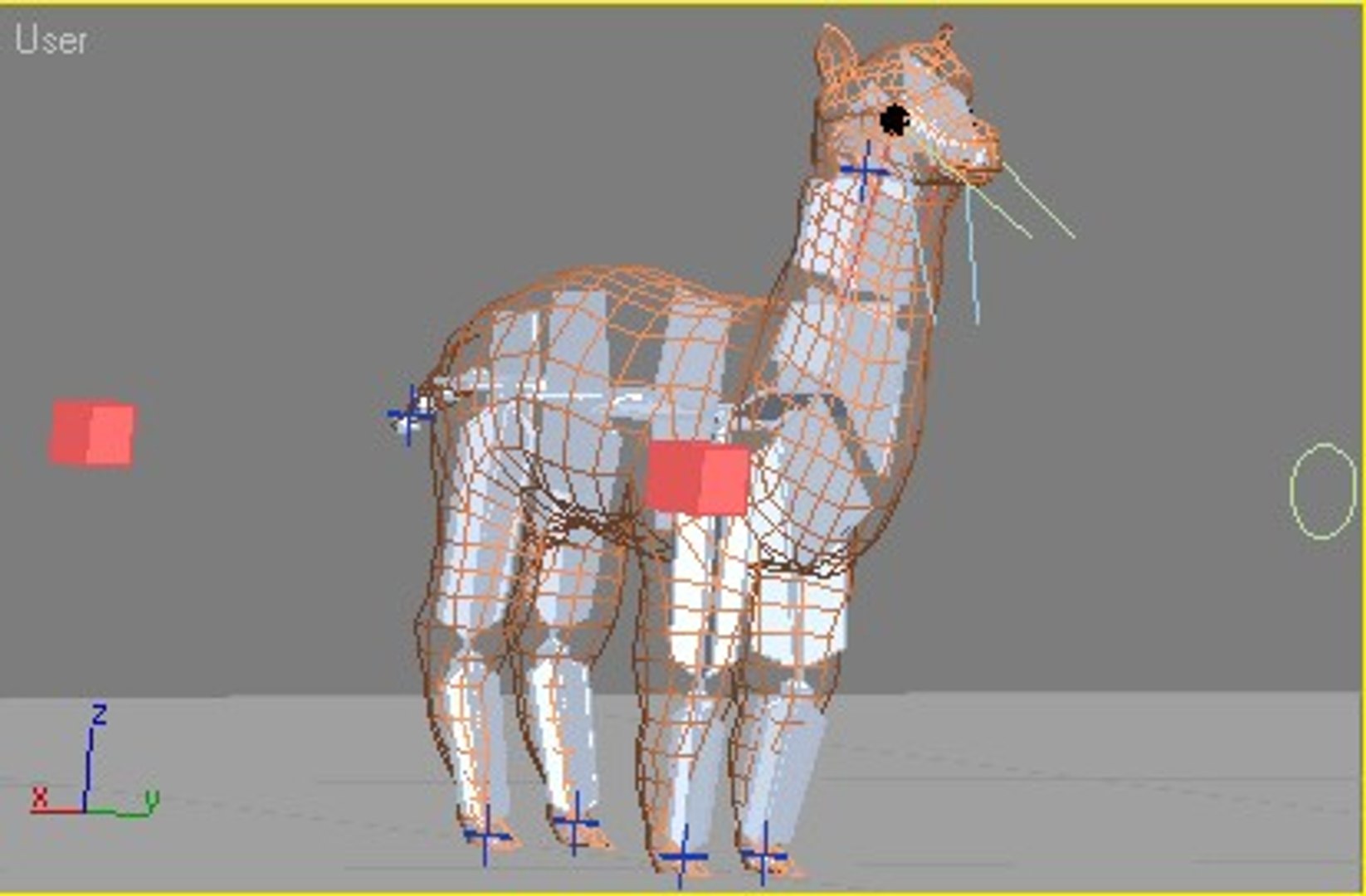 Alpaca Llama Sheep 3d Model