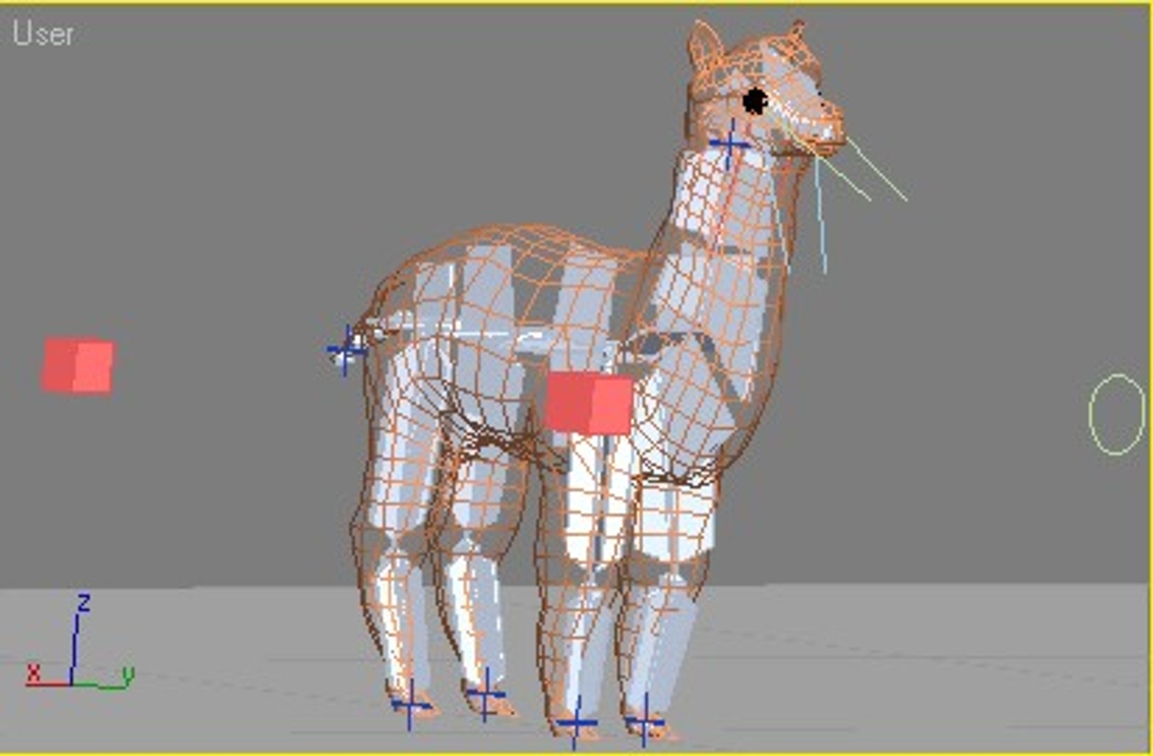 alpaca llama sheep 3d model