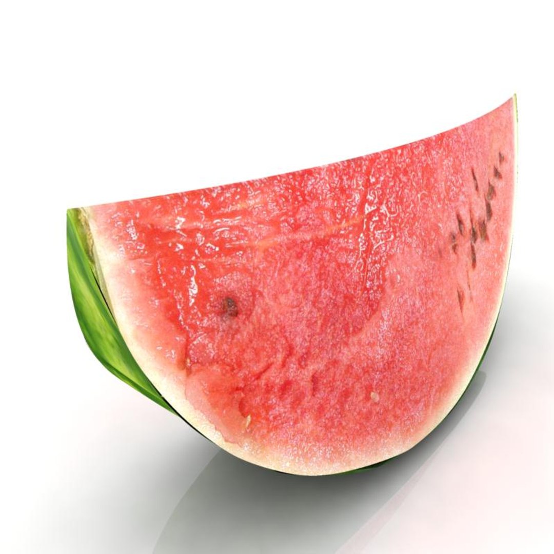 Watermelon Water Melon 3d Model