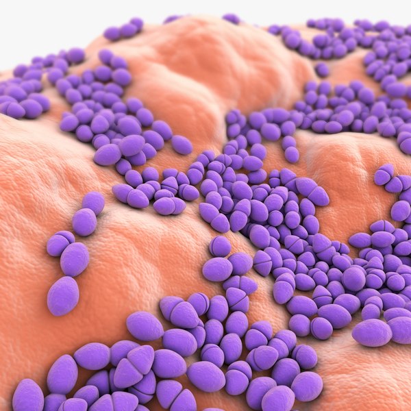 Bacteria 3D Models for Download | TurboSquid