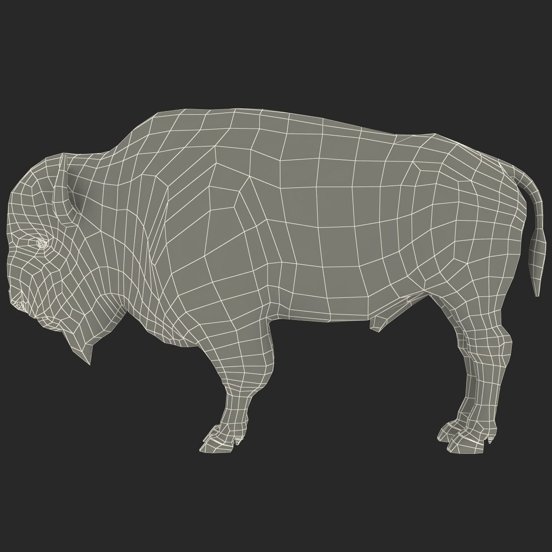 3d bison animal