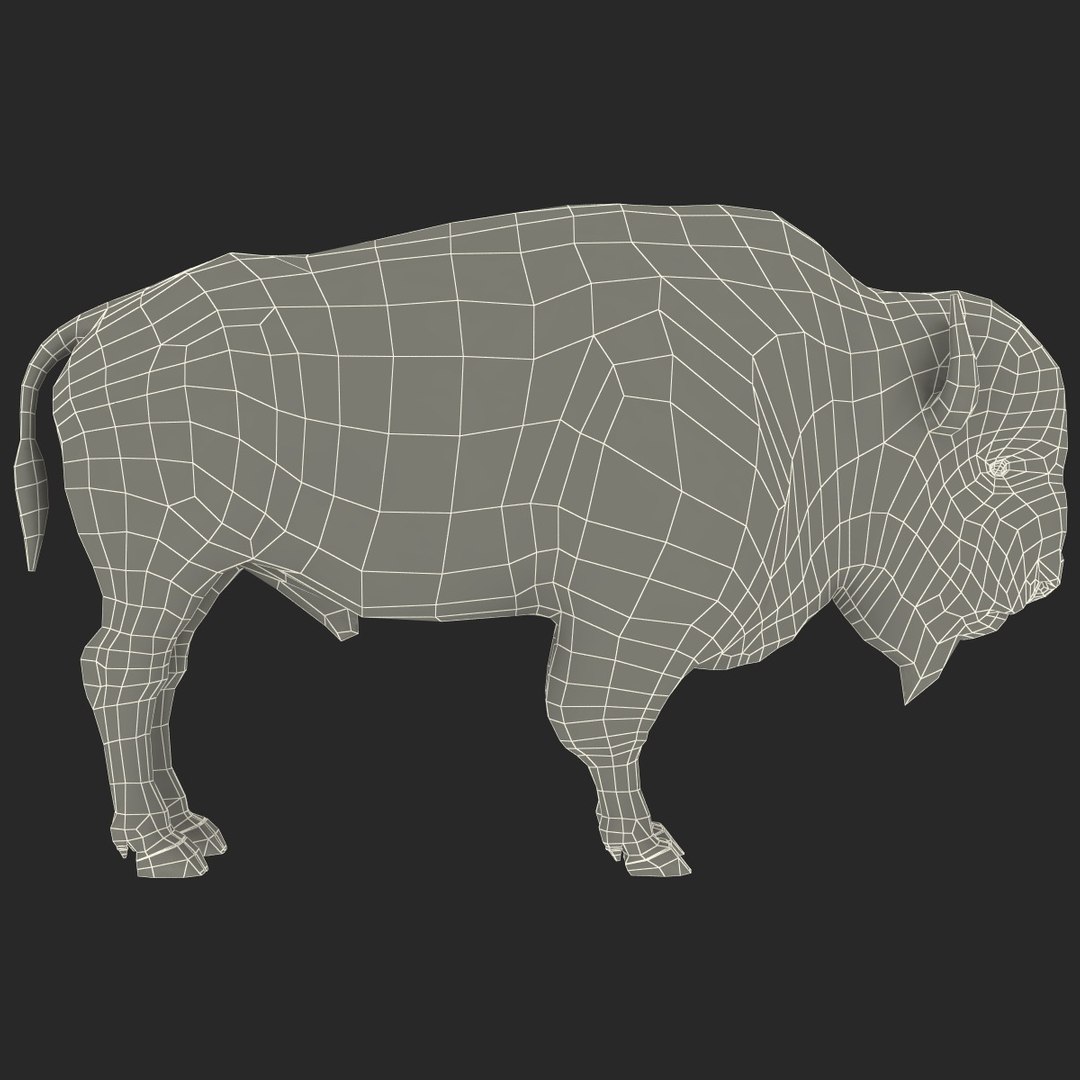 3d bison animal
