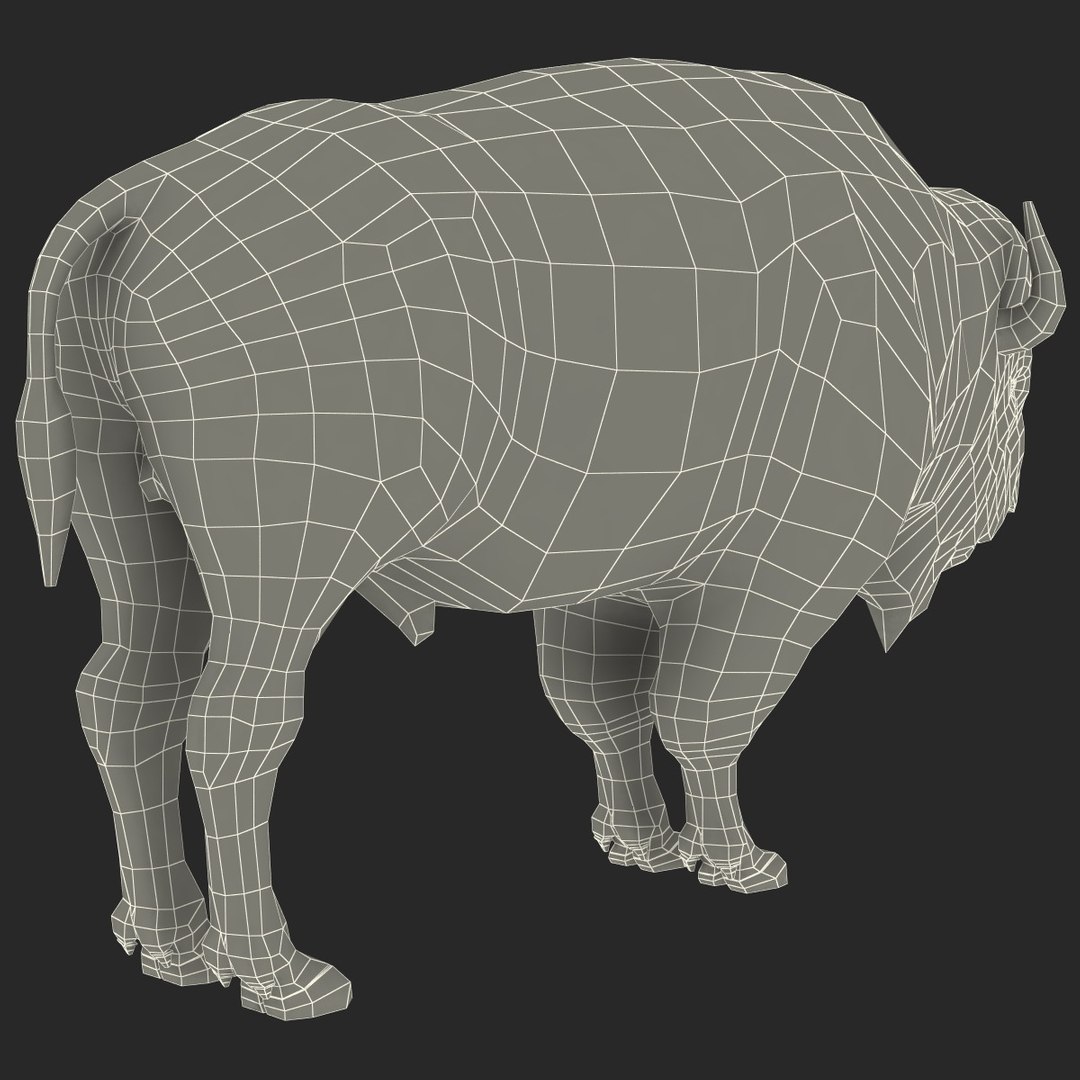 3d bison animal