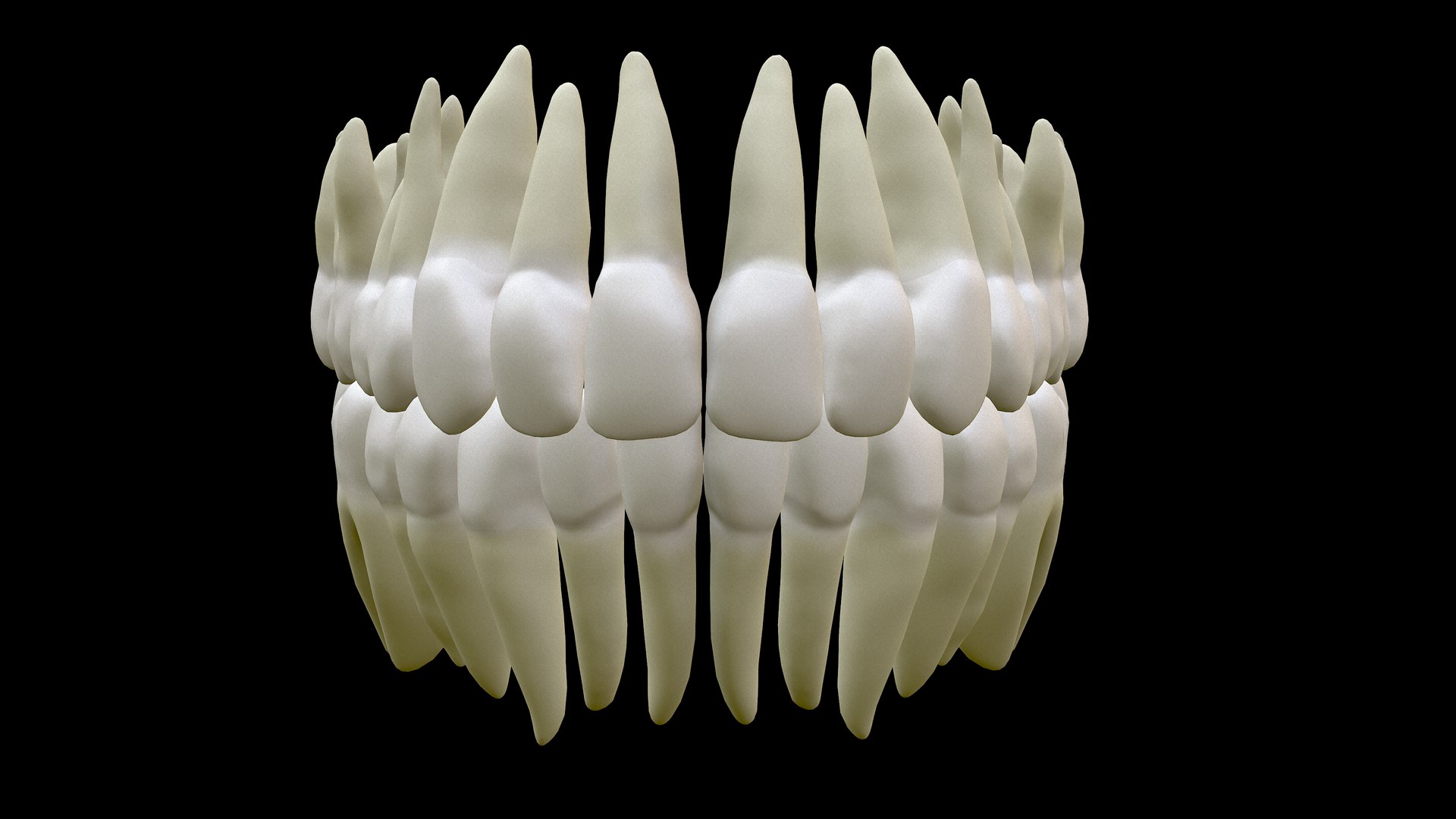 Realistic Human Teeth Low And High Poly 3D Model - TurboSquid 2313672