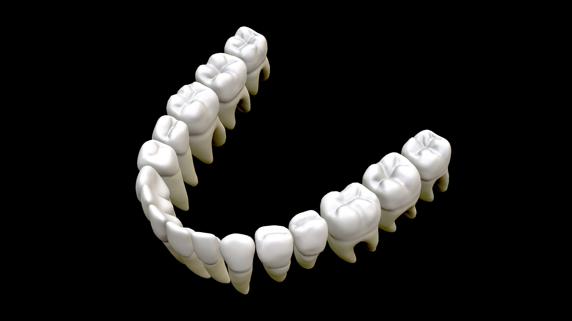 Realistic Human Teeth Low And High Poly 3D Model - TurboSquid 2313672