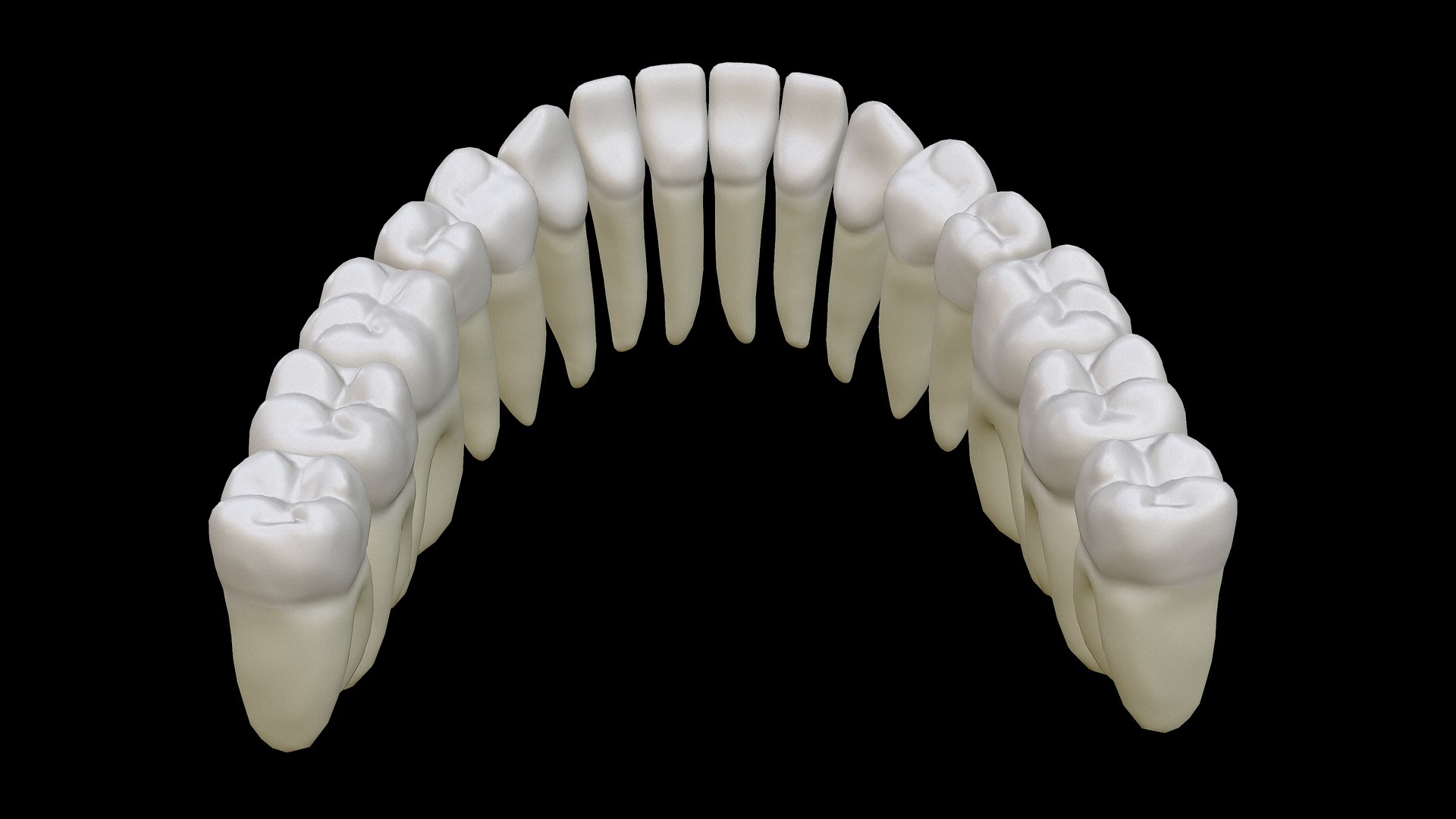 Realistic Human Teeth Low And High Poly 3D Model - TurboSquid 2313672