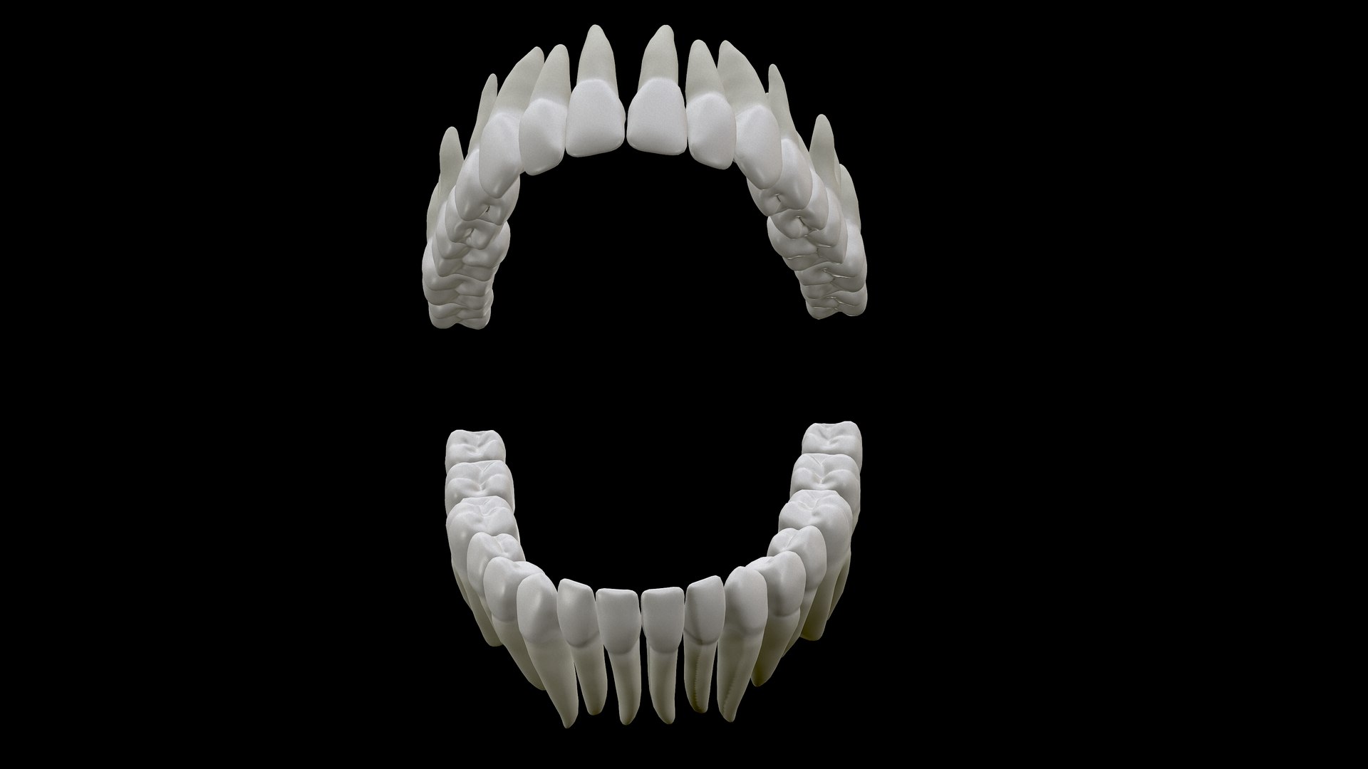 Realistic Human Teeth Low And High Poly 3D Model - TurboSquid 2313672