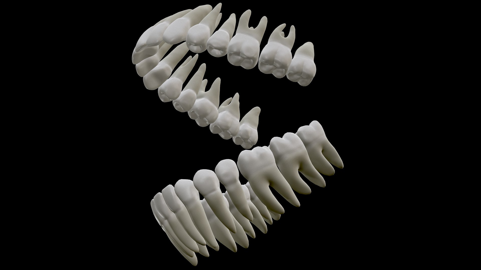 Realistic Human Teeth Low And High Poly 3D Model - TurboSquid 2313672