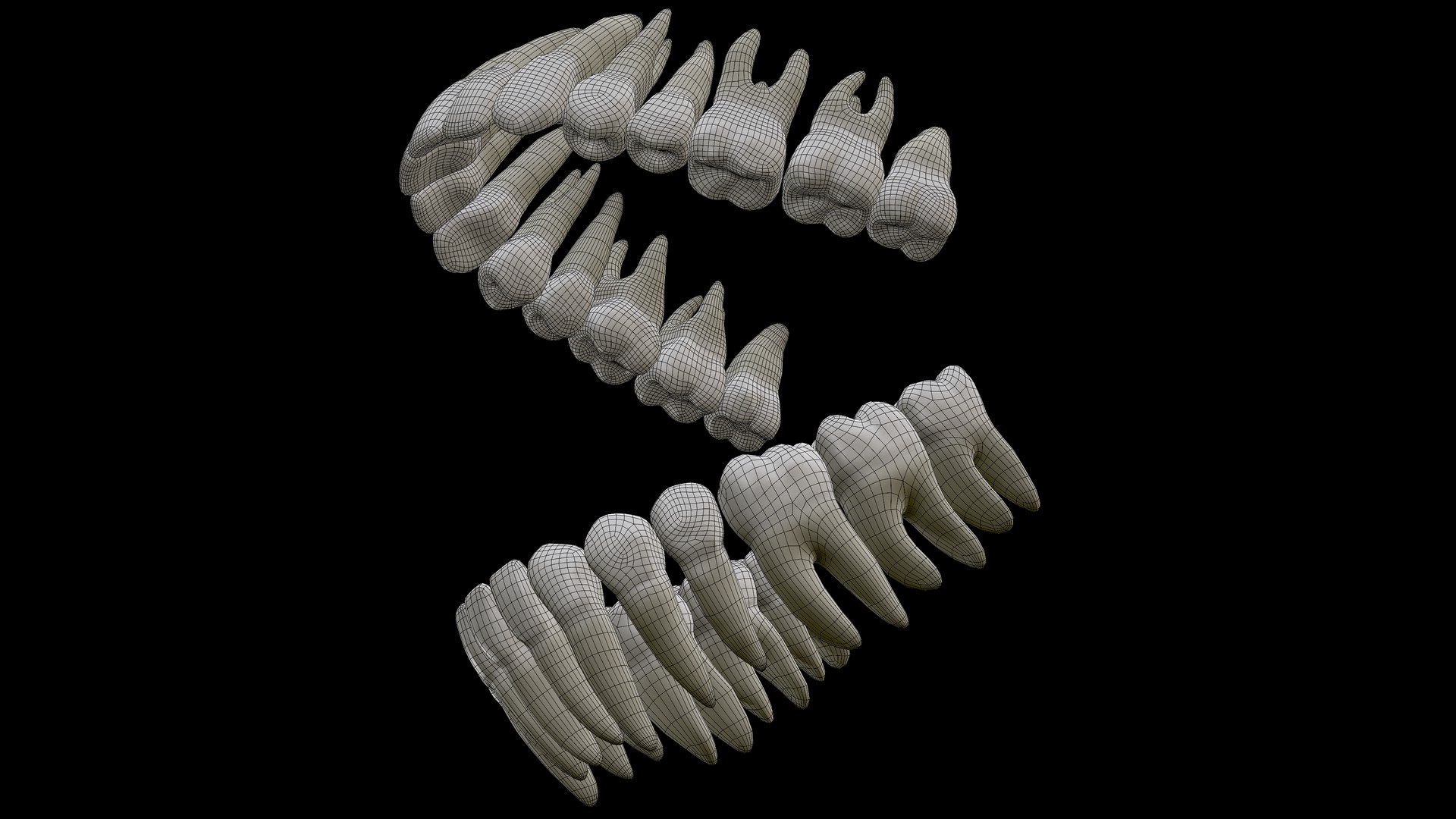 Realistic Human Teeth Low And High Poly 3D Model - TurboSquid 2313672