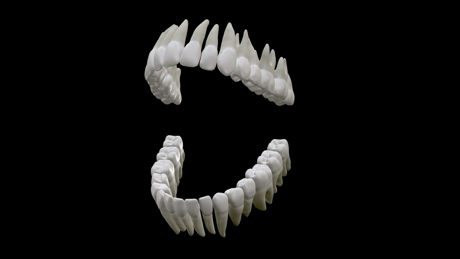 Realistic Human Teeth Low And High Poly 3D Model - TurboSquid 2313672