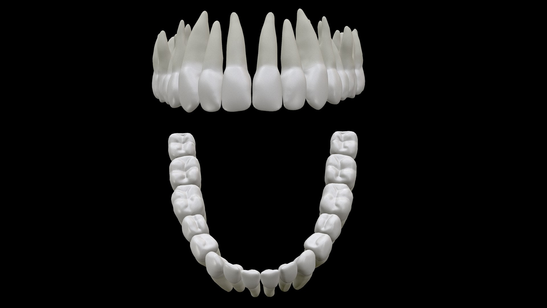 Realistic Human Teeth Low And High Poly 3D Model - TurboSquid 2313672