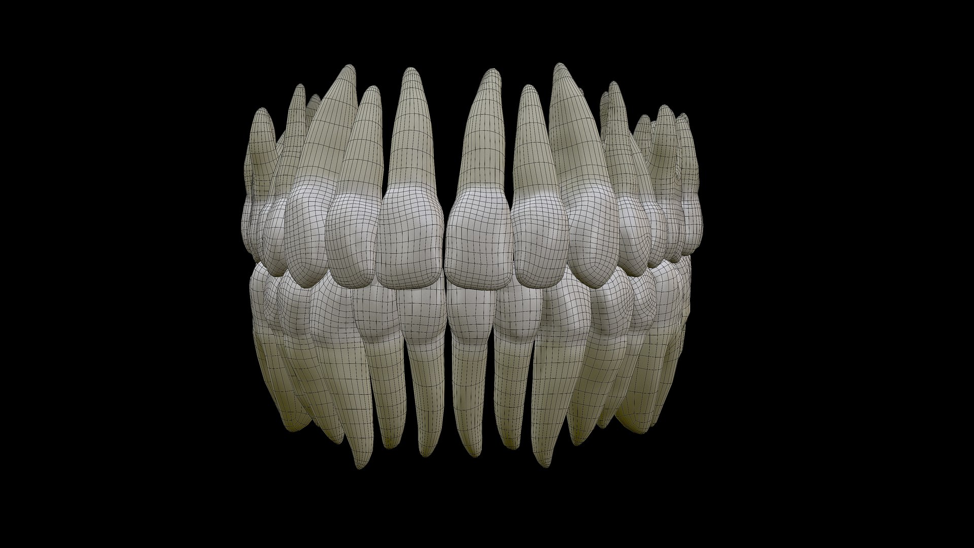 Realistic Human Teeth Low And High Poly 3D Model - TurboSquid 2313672