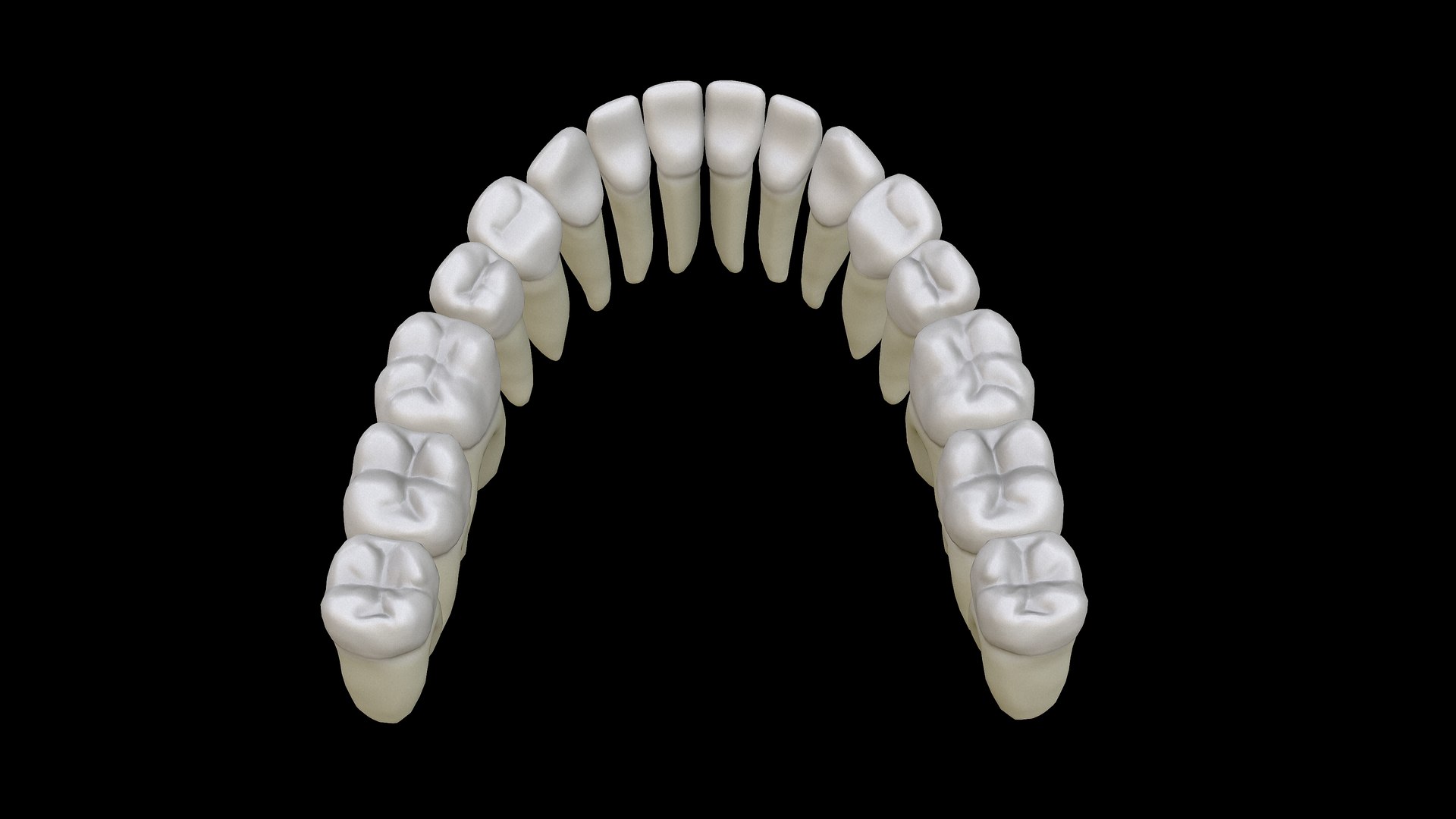 Realistic Human Teeth Low And High Poly 3D Model - TurboSquid 2313672