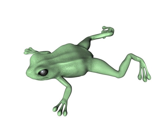 Free 3D Frog Models | TurboSquid