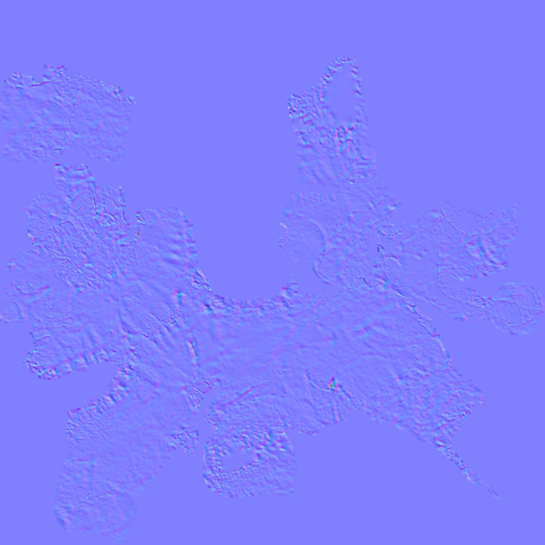 3D Model Human Skulls Sivapithecus - TurboSquid 1329775