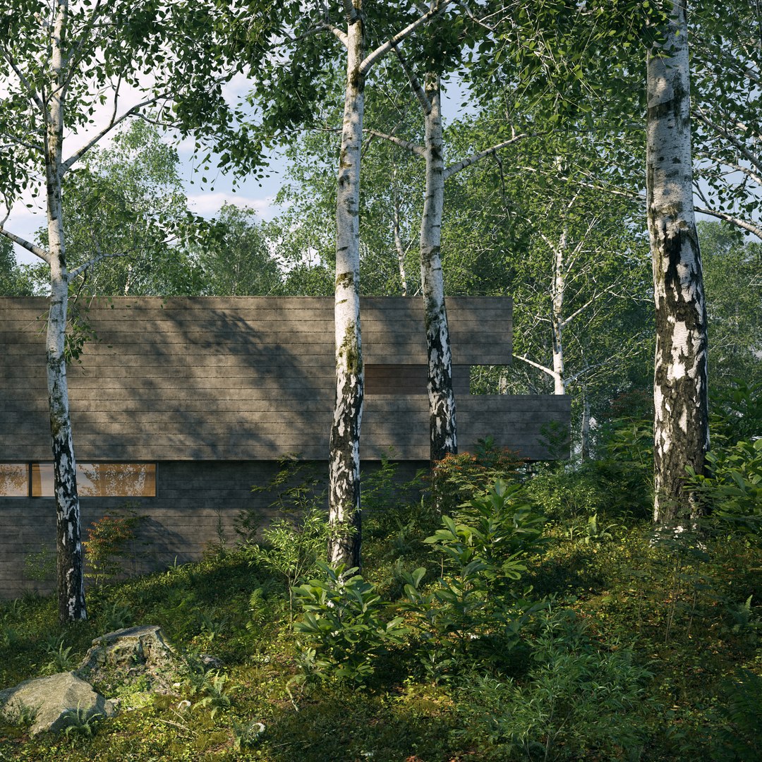 House In The Forest 3D Model - TurboSquid 1981796