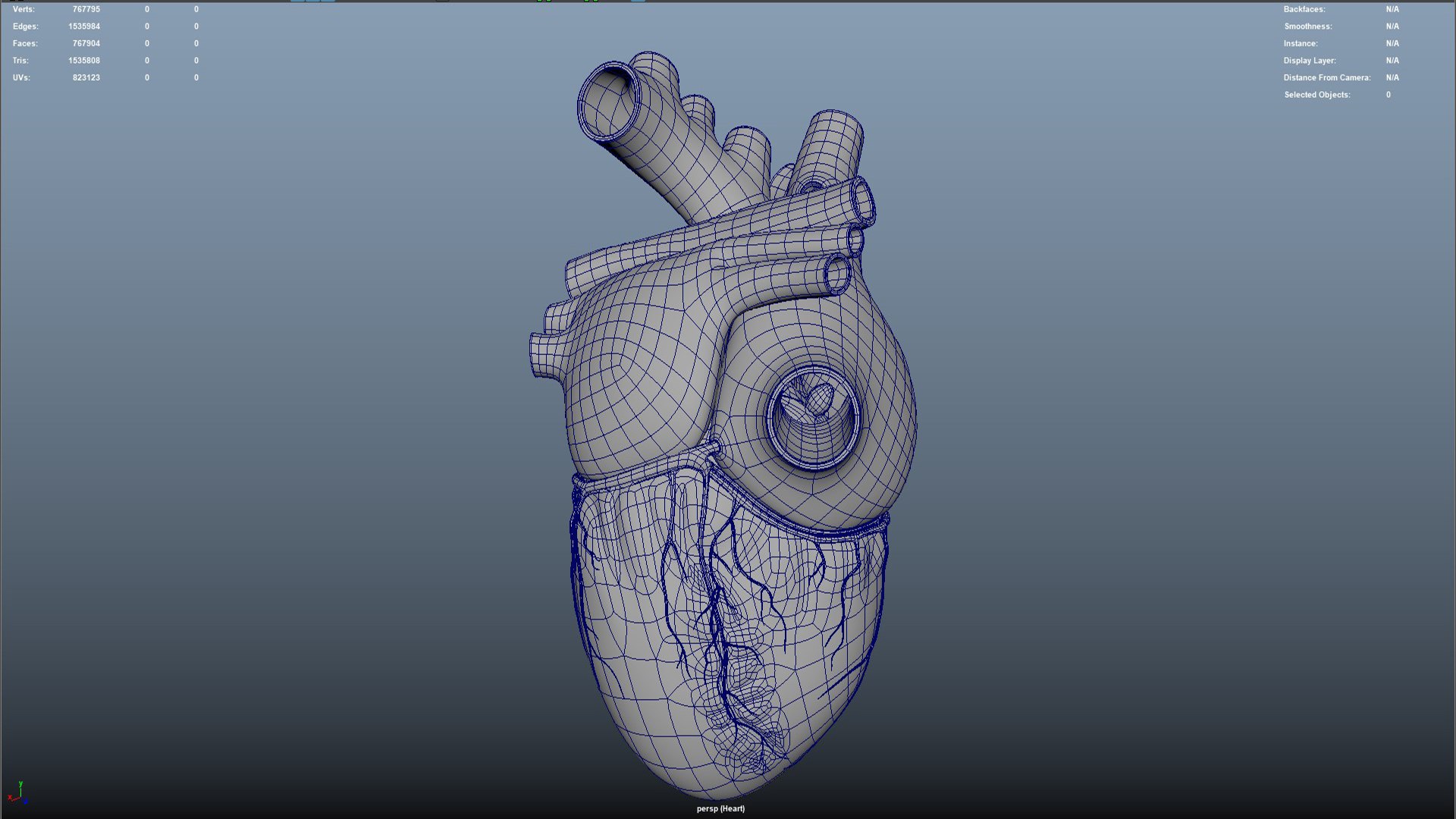 3D Human Natural Body With Heart - TurboSquid 1891107