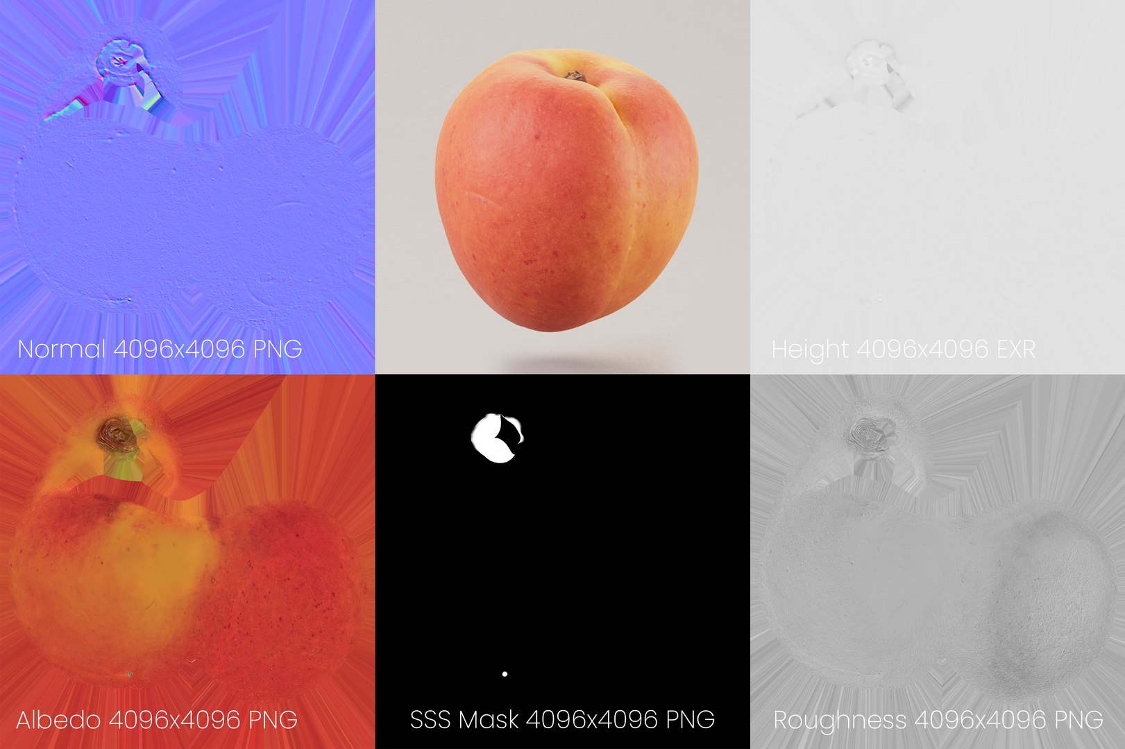 Apricot fruit 3d model model - TurboSquid 2169436