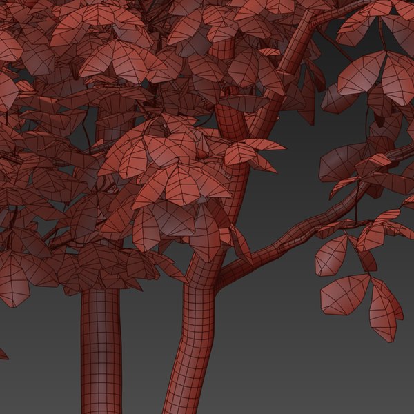 Summit green ash 3D model - TurboSquid 1956950