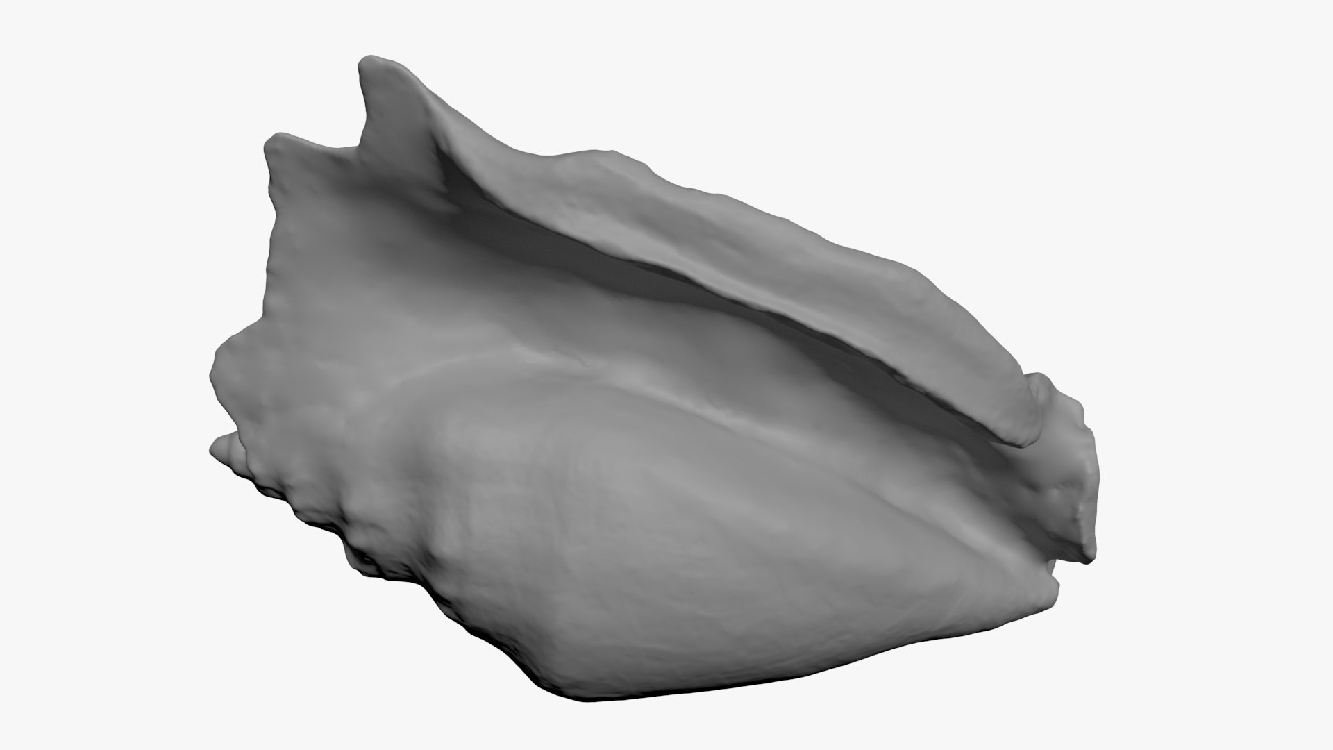 3D Strombus Sinuatus 01 For 3D Print - TurboSquid 2405143