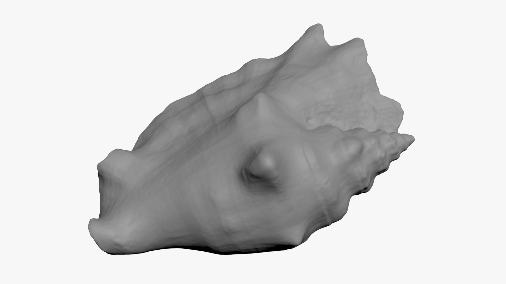 3D Strombus Sinuatus 01 For 3D Print - TurboSquid 2405143