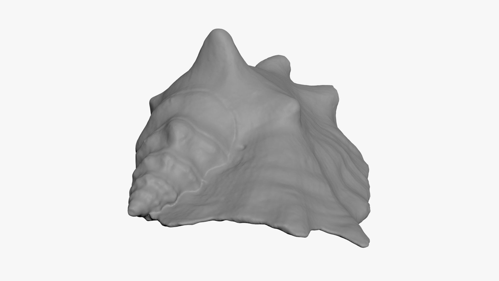 3D Strombus Sinuatus 01 For 3D Print - TurboSquid 2405143