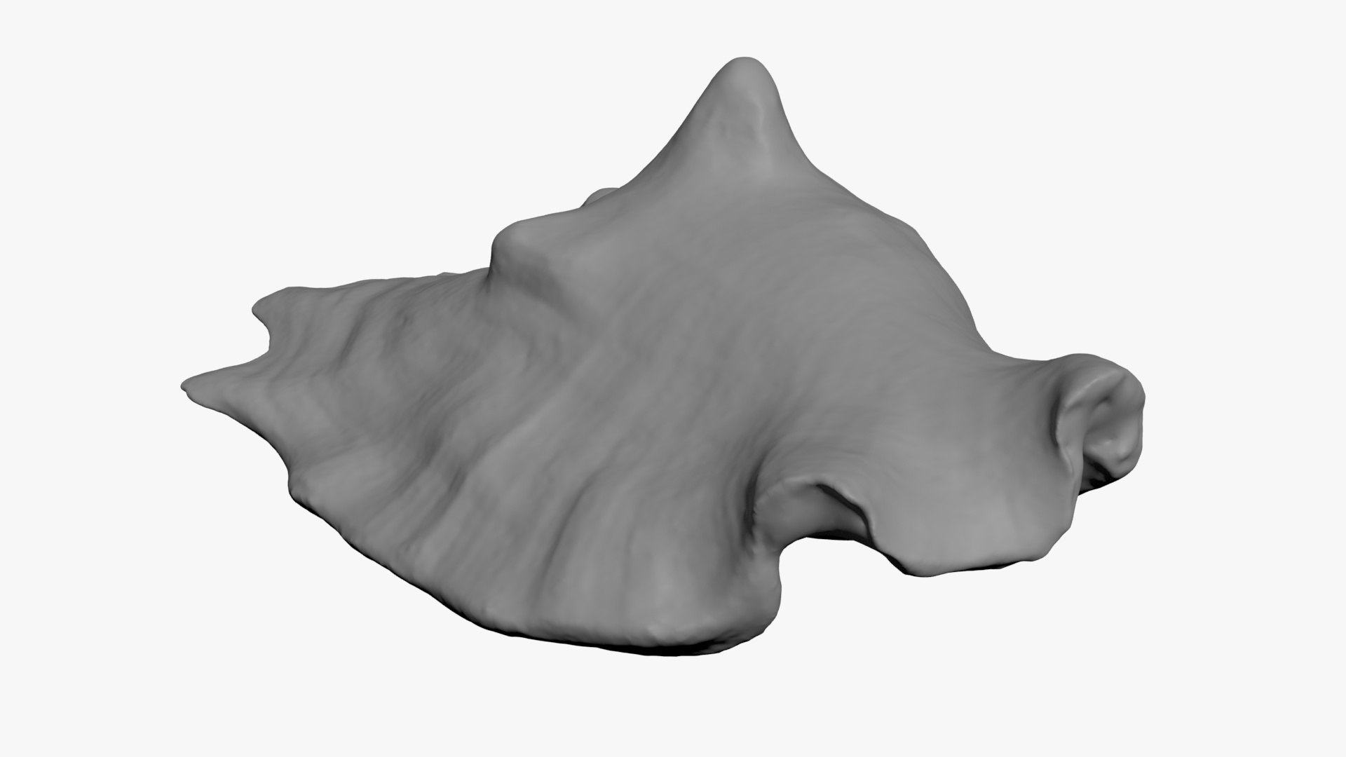3D Strombus Sinuatus 01 For 3D Print - TurboSquid 2405143