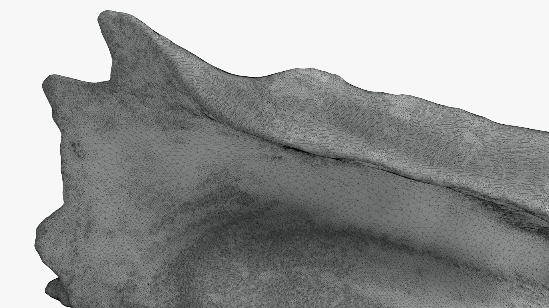 3D Strombus Sinuatus 01 For 3D Print - TurboSquid 2405143