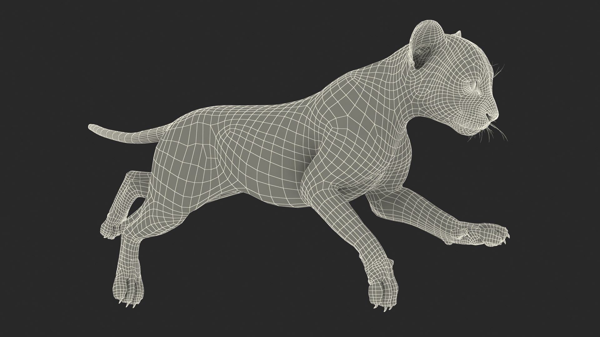3D Cheetah Cub Running Pose - TurboSquid 2359059