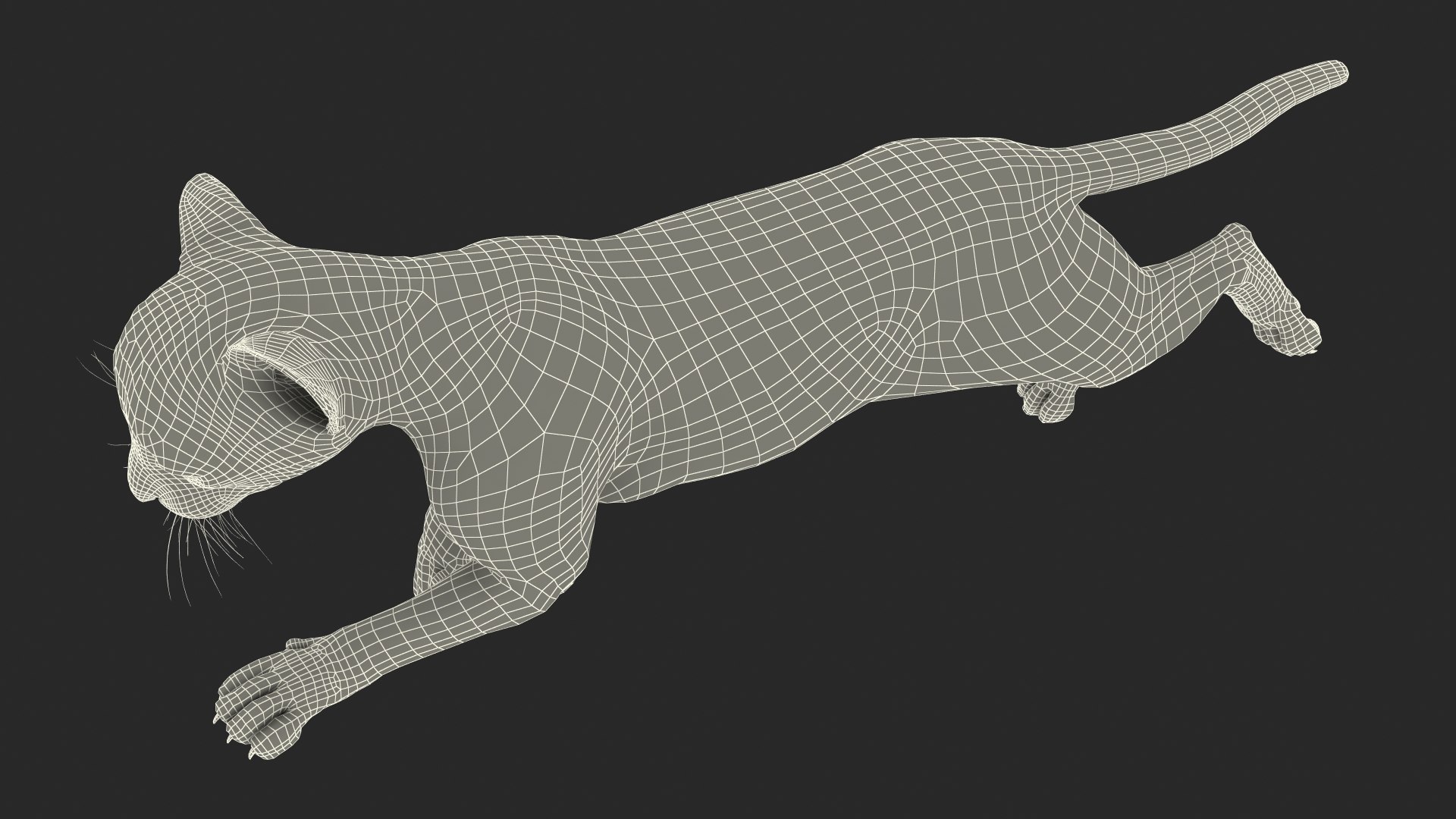 3D Cheetah Cub Running Pose - TurboSquid 2359059