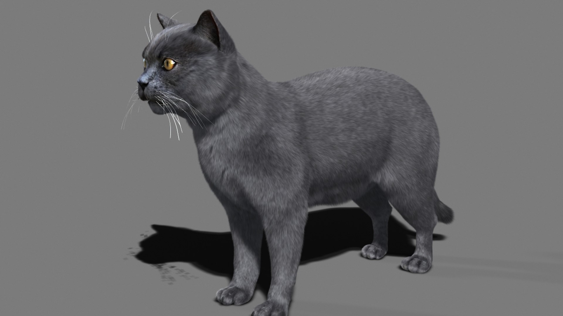 3ds Max Cat Hairfarm Animation