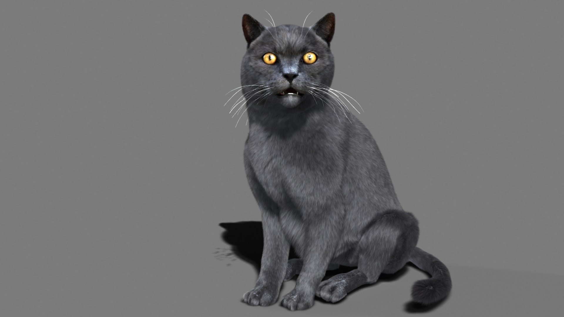 3ds Max Cat Hairfarm Animation