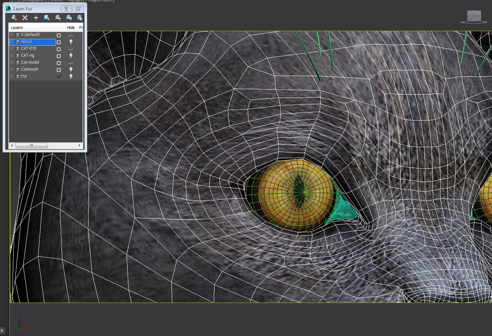 3ds Max Cat Hairfarm Animation