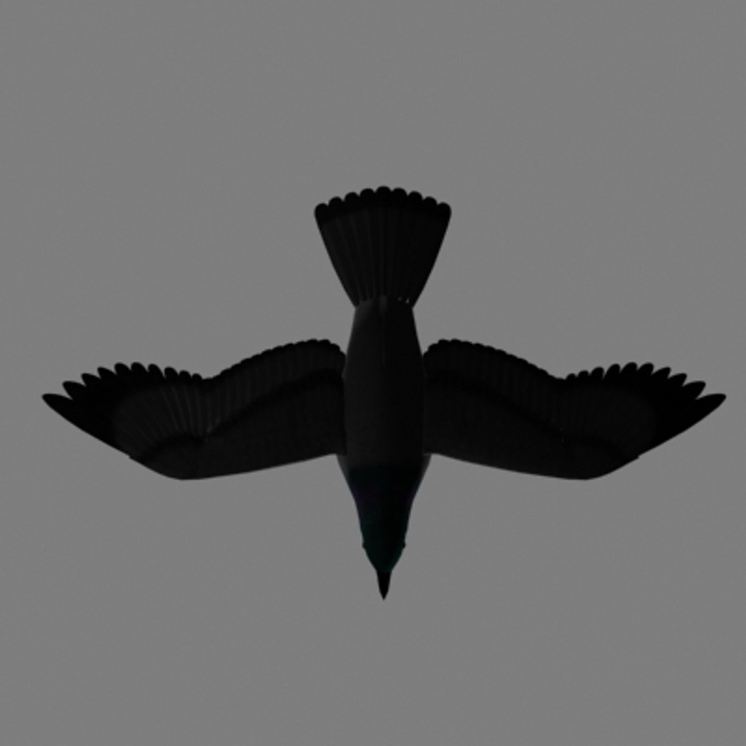 Imagination Pigeon 3d Model