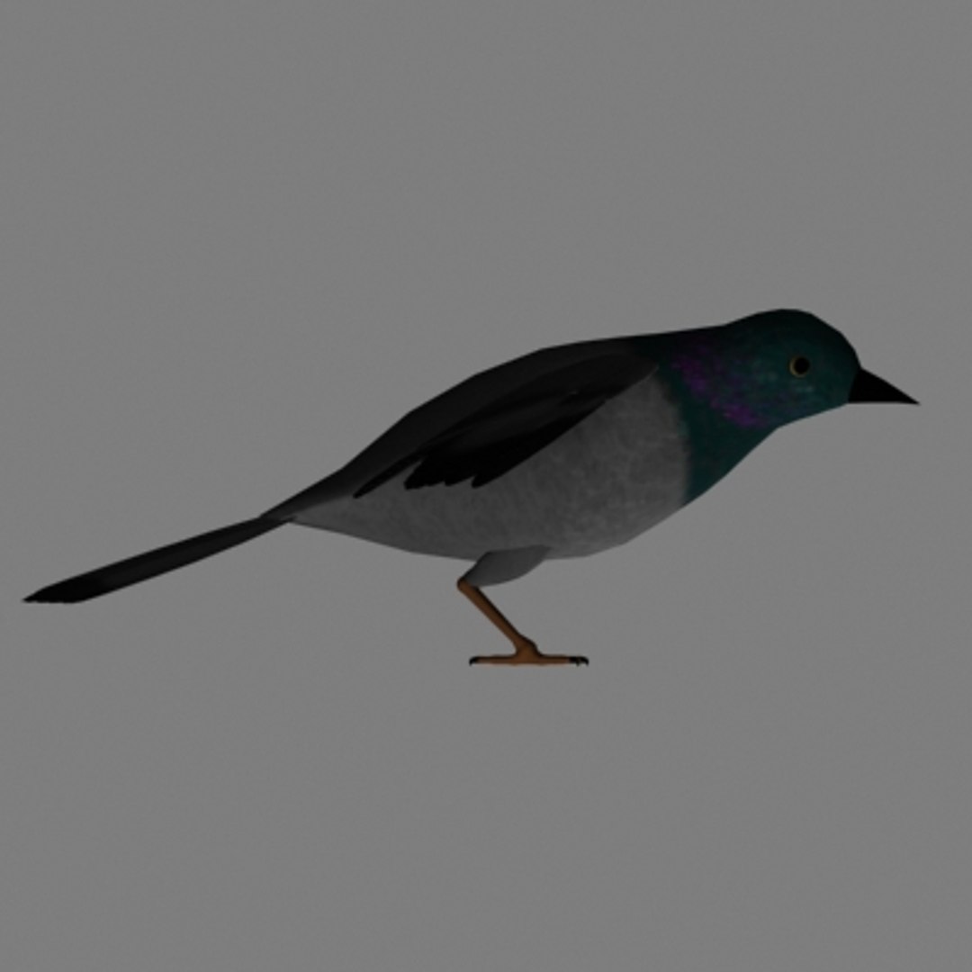 Imagination Pigeon 3d Model