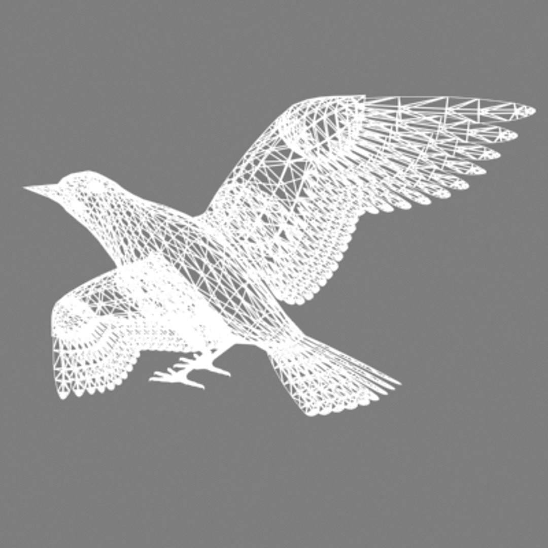 Imagination Pigeon 3d Model