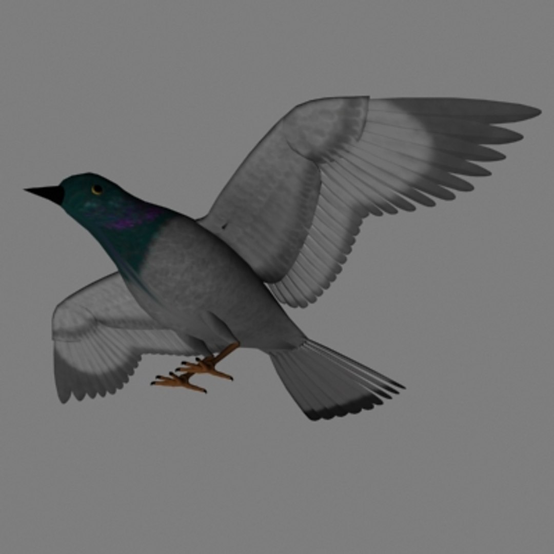 Imagination Pigeon 3d Model