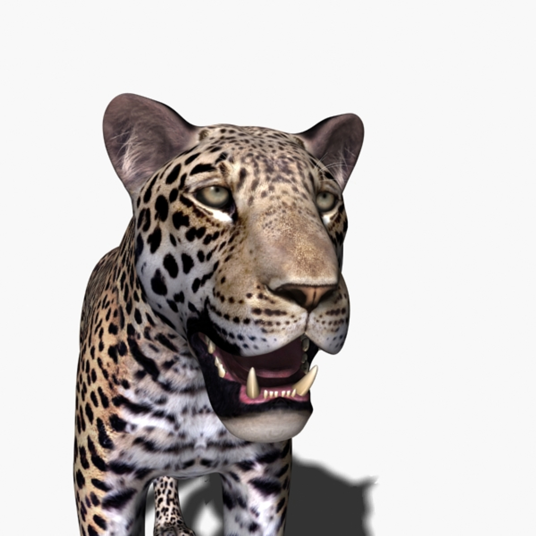 Realistic Leopard X
