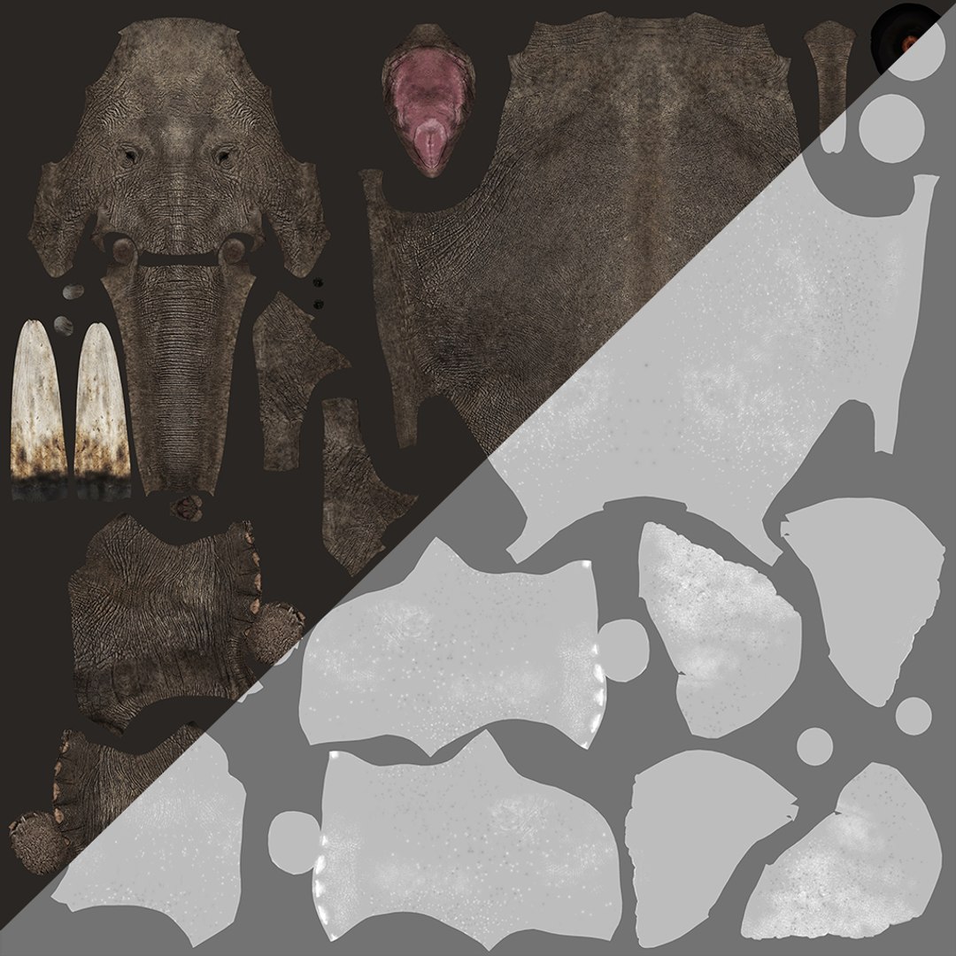 Photorealistic Elephant Max