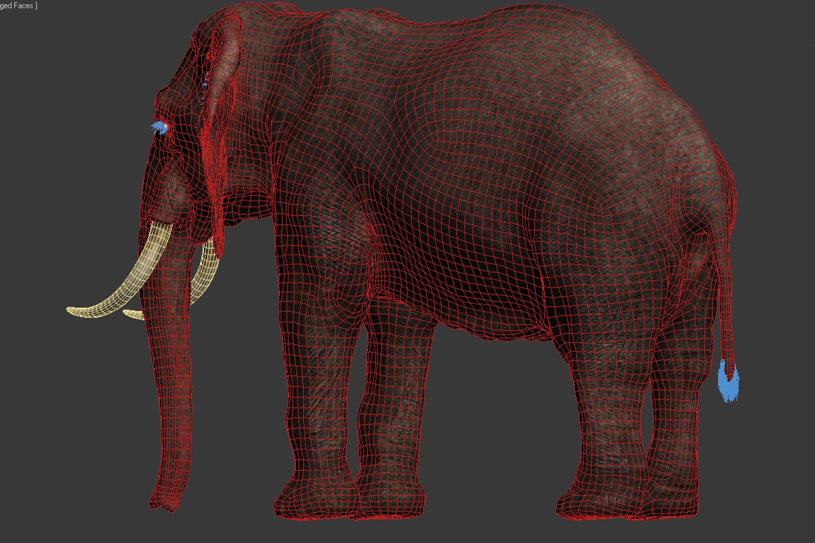 Photorealistic Elephant Max