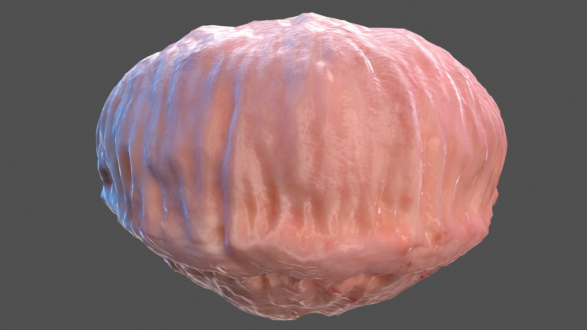 3D Human Urinary Bladder - TurboSquid 1461211
