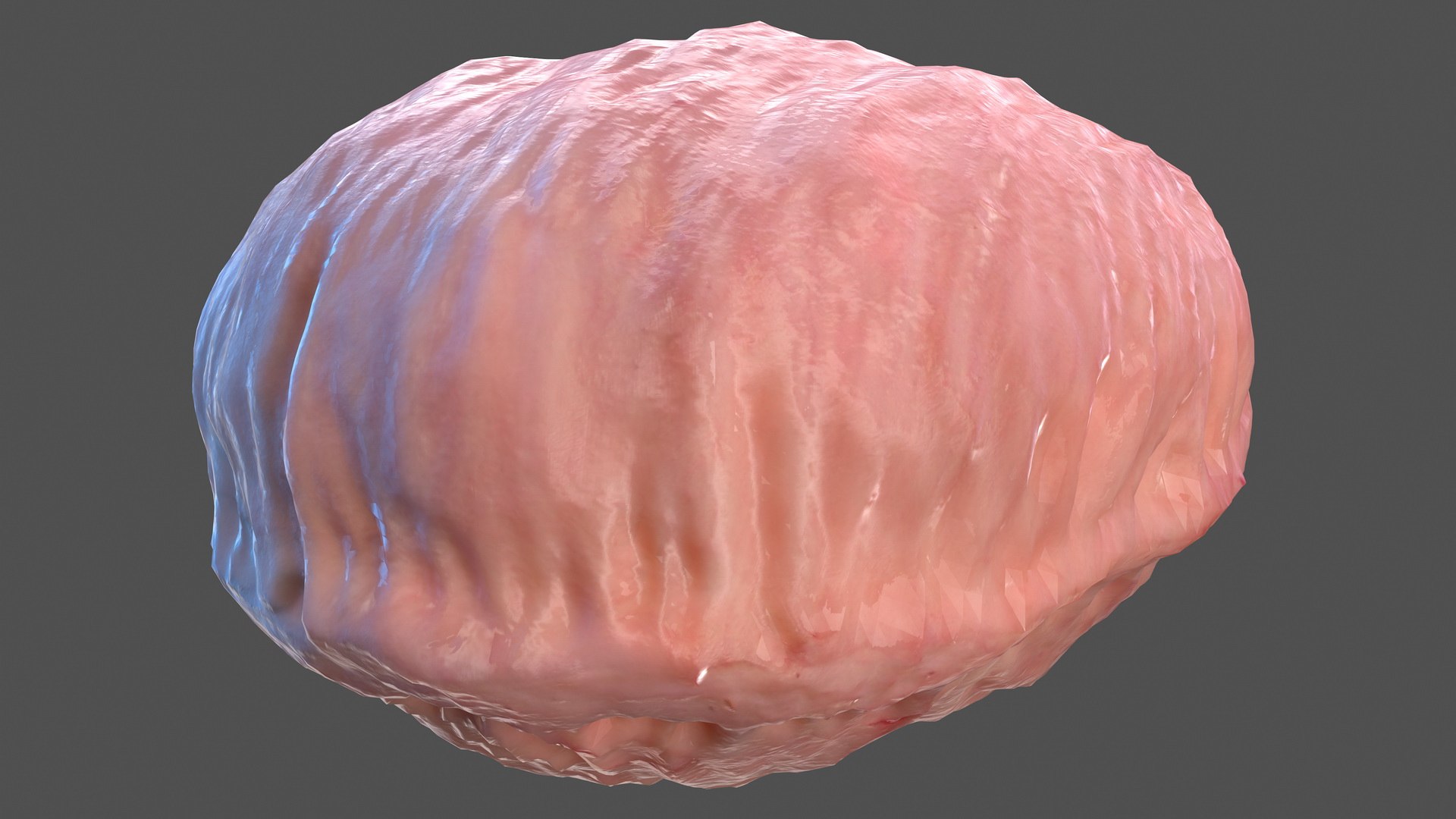 3D Human Urinary Bladder - TurboSquid 1461211