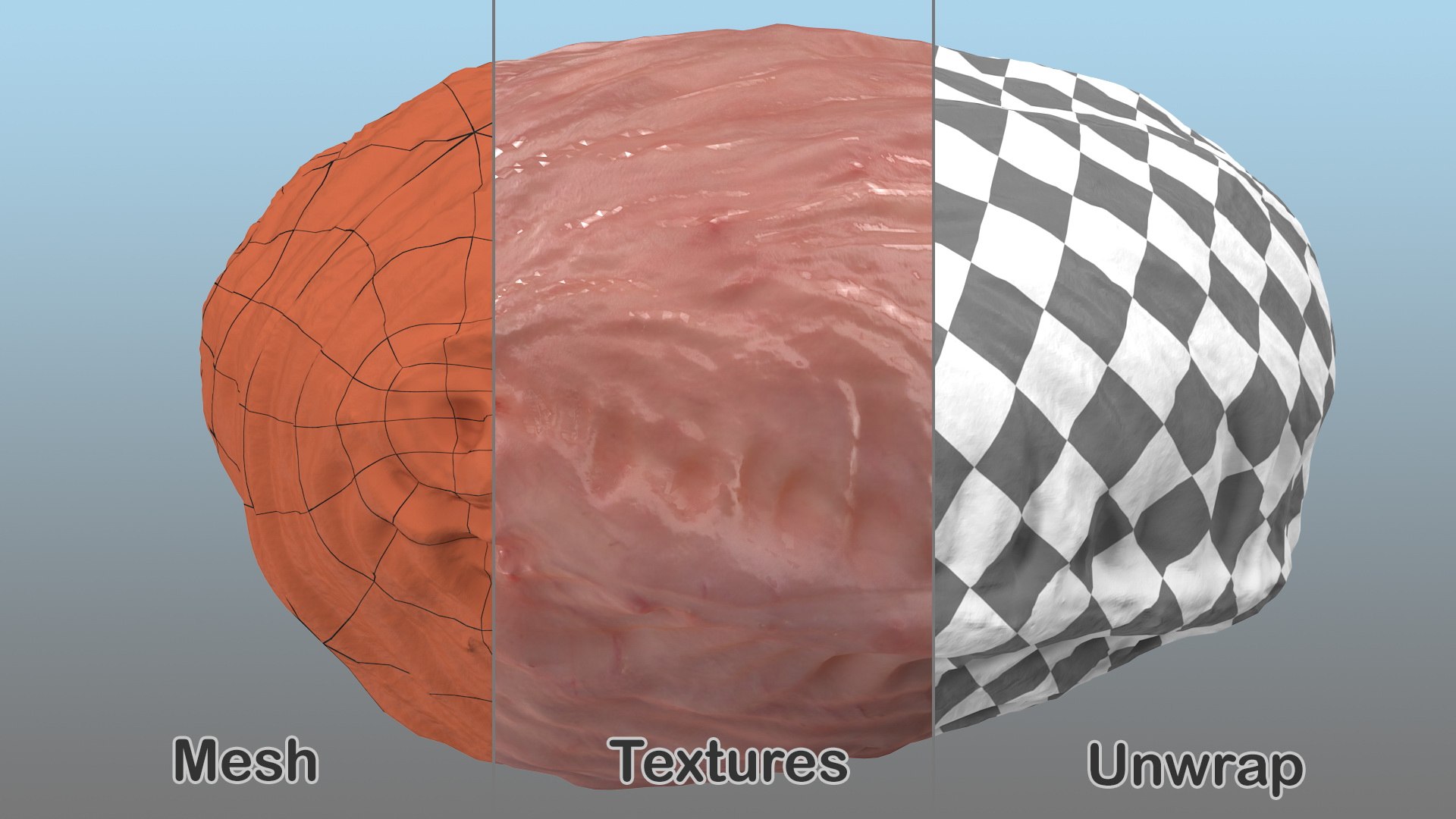 3D Human Urinary Bladder - TurboSquid 1461211