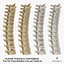 Human Thoracic Vertebrae TH1 To TH12 Bones Collection 01 - 4 Models 3D Model - TurboSquid 2199447