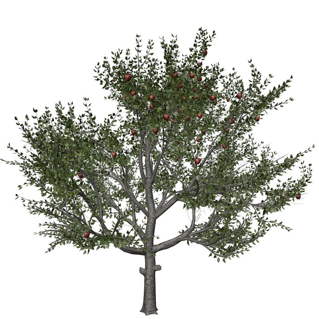 3D Model Red Delicious Apple Tree Collection - TurboSquid 2379048